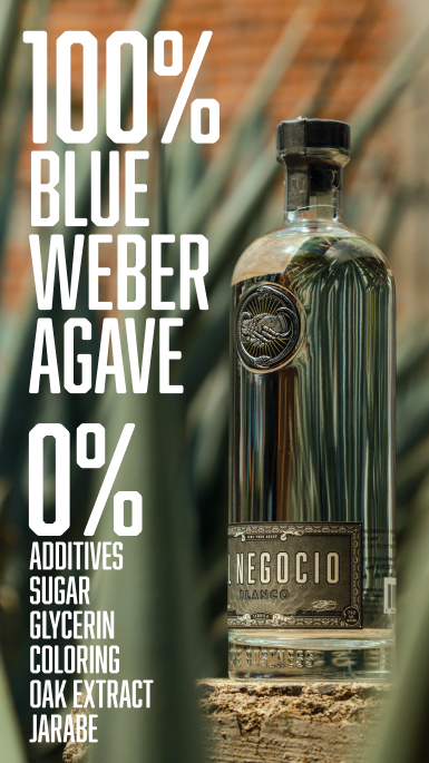 El Negocio Case Study | Moontide Agency