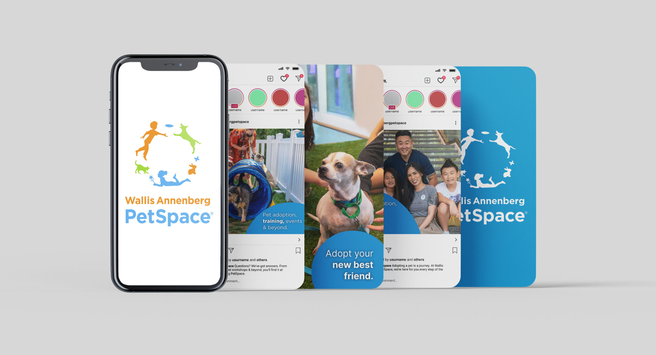 Petspace Case Study | Moontide Agency