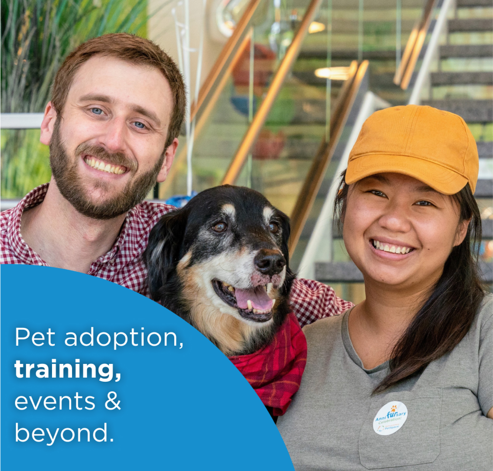 Petspace Case Study | Moontide Agency